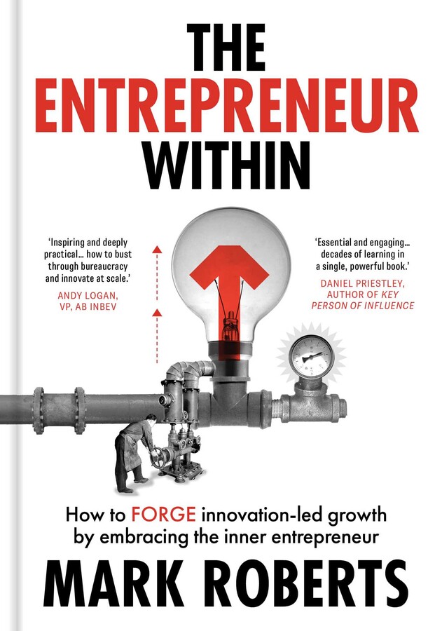 The Entrepreneur Within | Book by Mark Roberts | Official Publisher ...