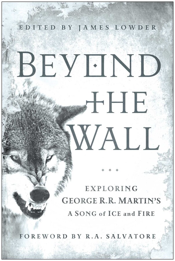 Beyond the Wall | Book by James Lowder, R. A. Salvatore, Daniel Abraham ...
