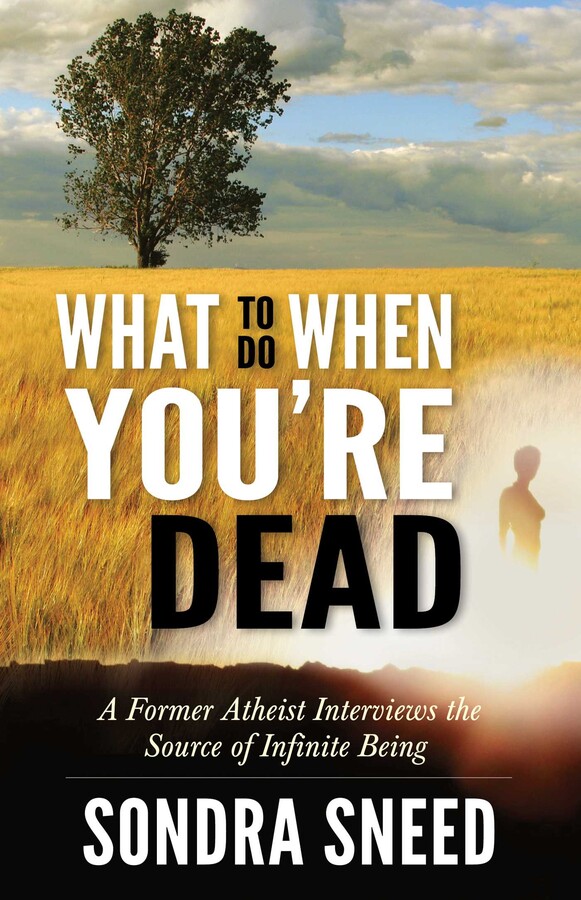 What to Do When You're Dead | Book by Sondra Sneed | Official Publisher Page | Simon & Schuster