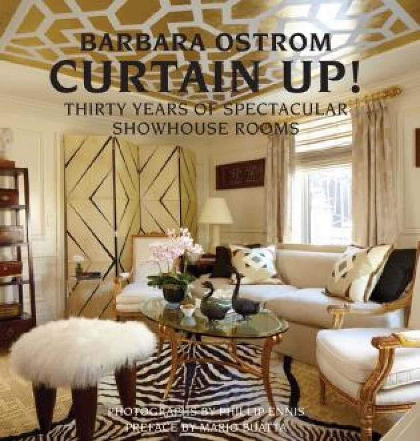 Curtain Up! | Book by Barbara Ostrom | Official Publisher Page | Simon & Schuster