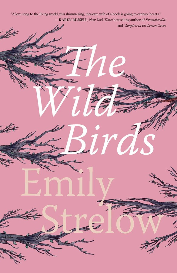 The Wild Birds eBook by Emily Strelow | Official Publisher Page | Simon ...