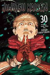 Jujutsu Kaisen, Vol. 26 | Book by Gege Akutami | Official Publisher ...