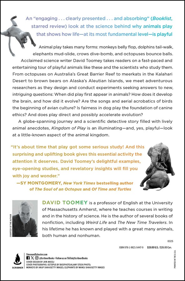 Kingdom of Play | Book by David Toomey | Official Publisher Page ...