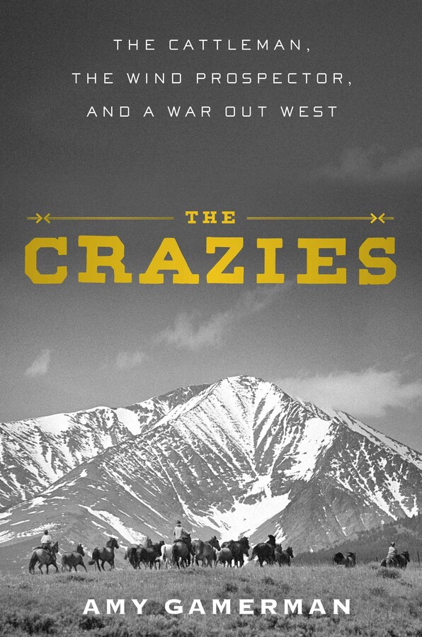 The Crazies | Book by Amy Gamerman | Official Publisher Page | Simon ...