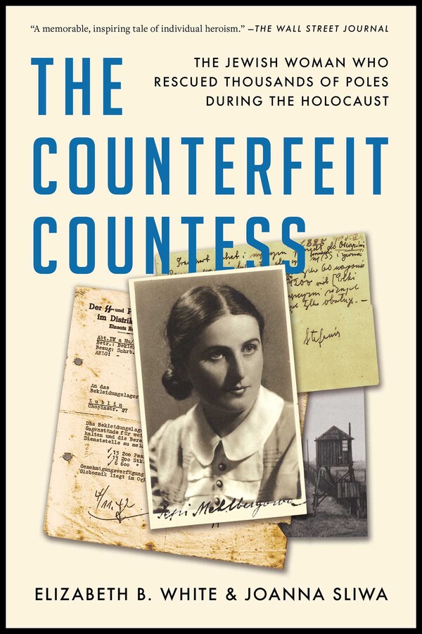The Counterfeit Countess | Book by Elizabeth B. White, Joanna Sliwa ...