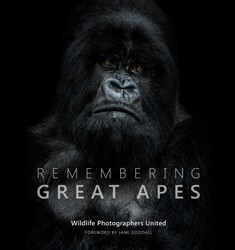 Remembering Wildlife Books by Margot Raggett from Simon & Schuster