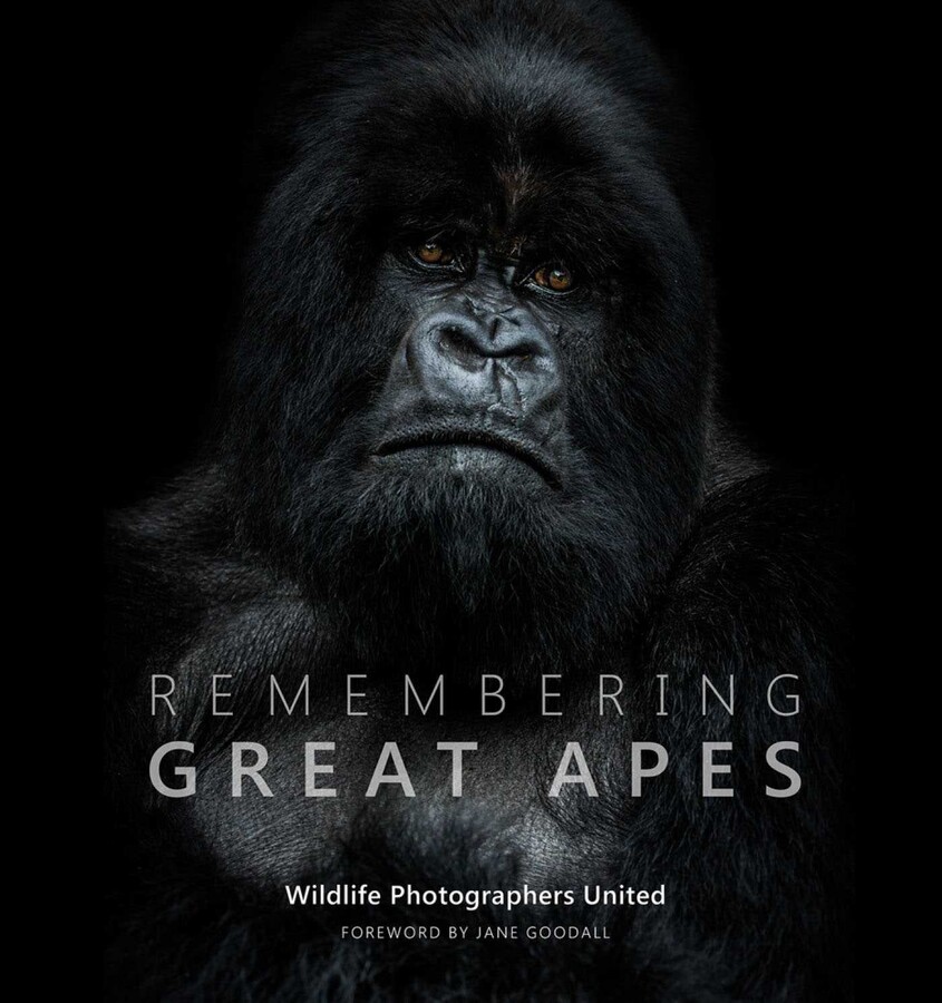 Remembering Great Apes | Book by Margot Raggett | Official Publisher Page | Simon & Schuster Canada