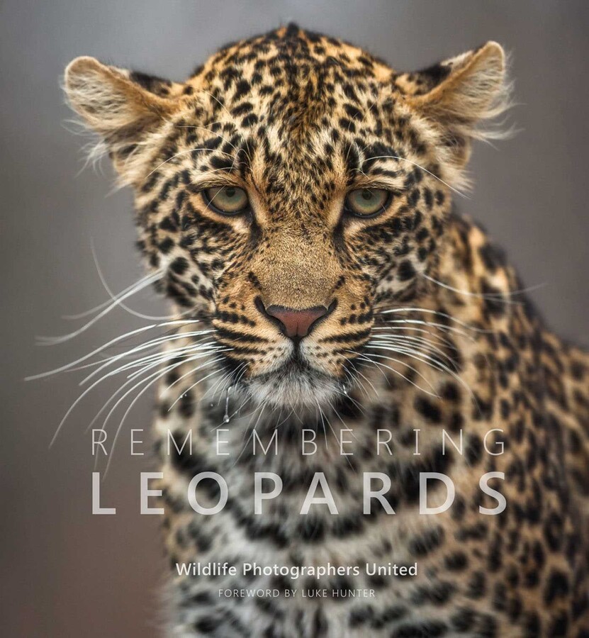 Remembering Leopards | Book by Margot Raggett, Wildlife Photographers United | Official ...
