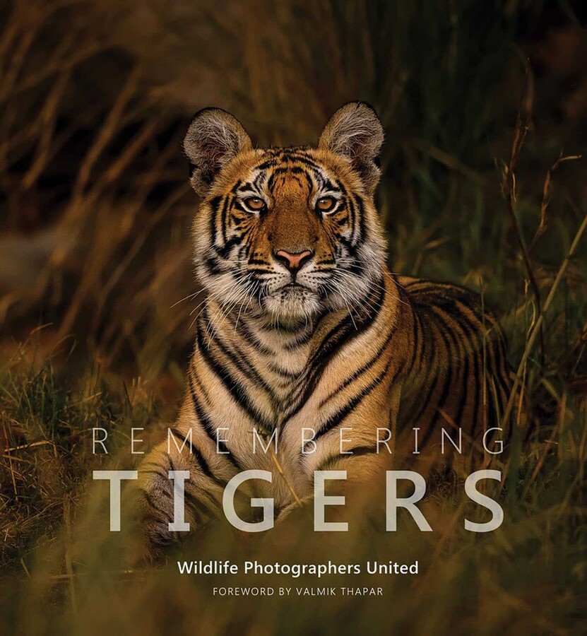 Remembering Tigers | Book by Margot Raggett, Wildlife Photographers ...