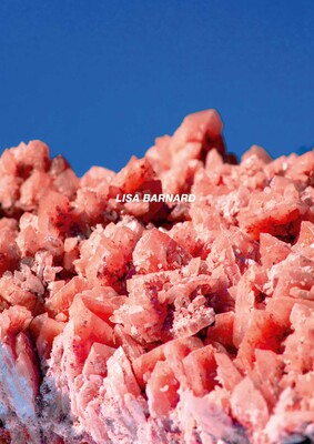 After Nature Ulrike Crespo Photography Prize 2025 | Book by Lisa ...