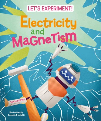 Electricity and Magnetism | Book by Francesca Gorini | Official ...