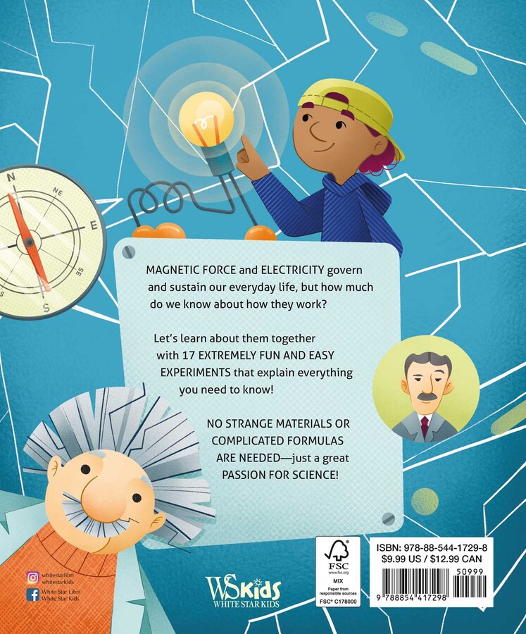 Electricity and Magnetism | Book by Francesca Gorini | Official ...