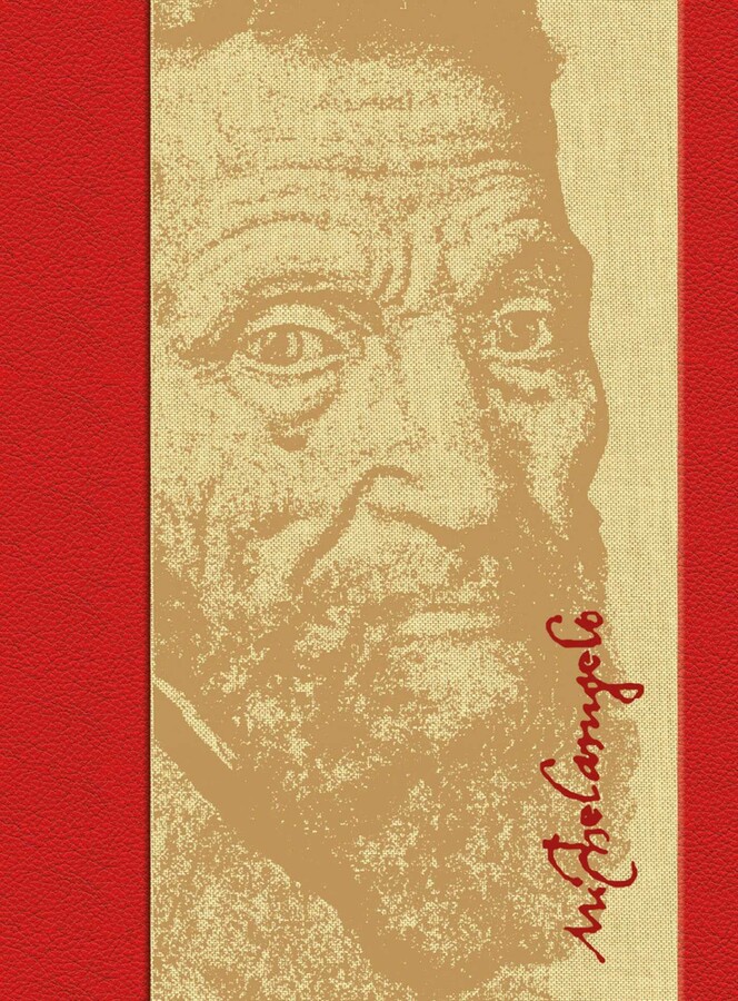 Michelangelo 500 | Book by Fabio Scaletti | Official Publisher Page ...