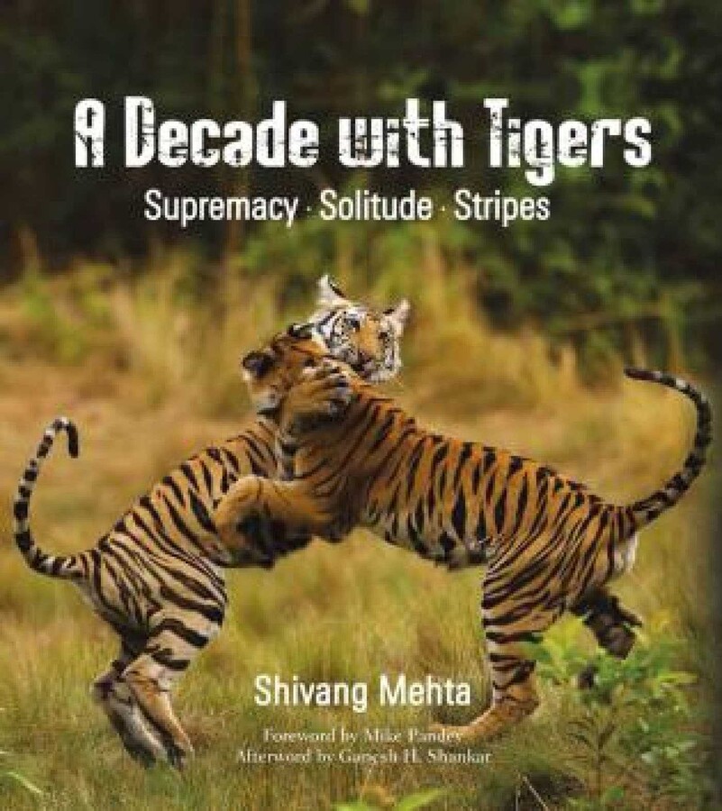 A Decade with Tigers | Book by Shivang Mehta | Official Publisher Page ...