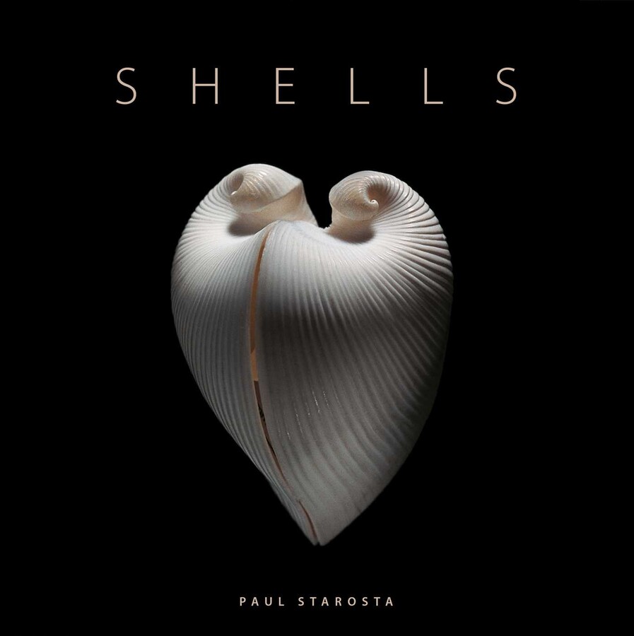 Shells | Book by Paolo Portoghesi, Paul Starosta | Official Publisher ...