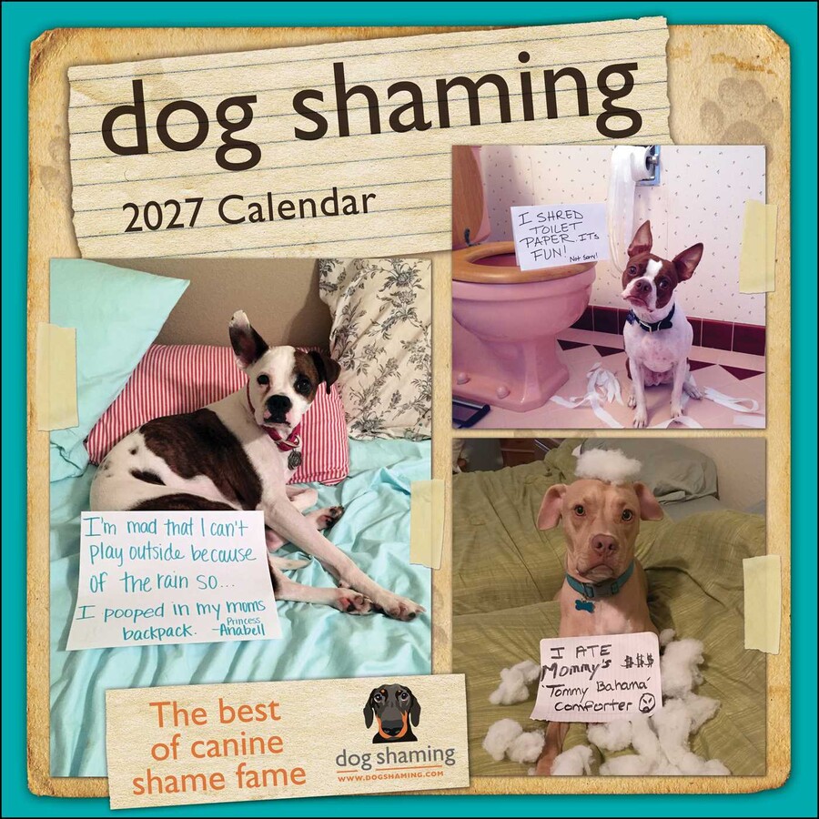 Dog Shaming 2027 Wall Calendar - Book Summary & Video | Official ...