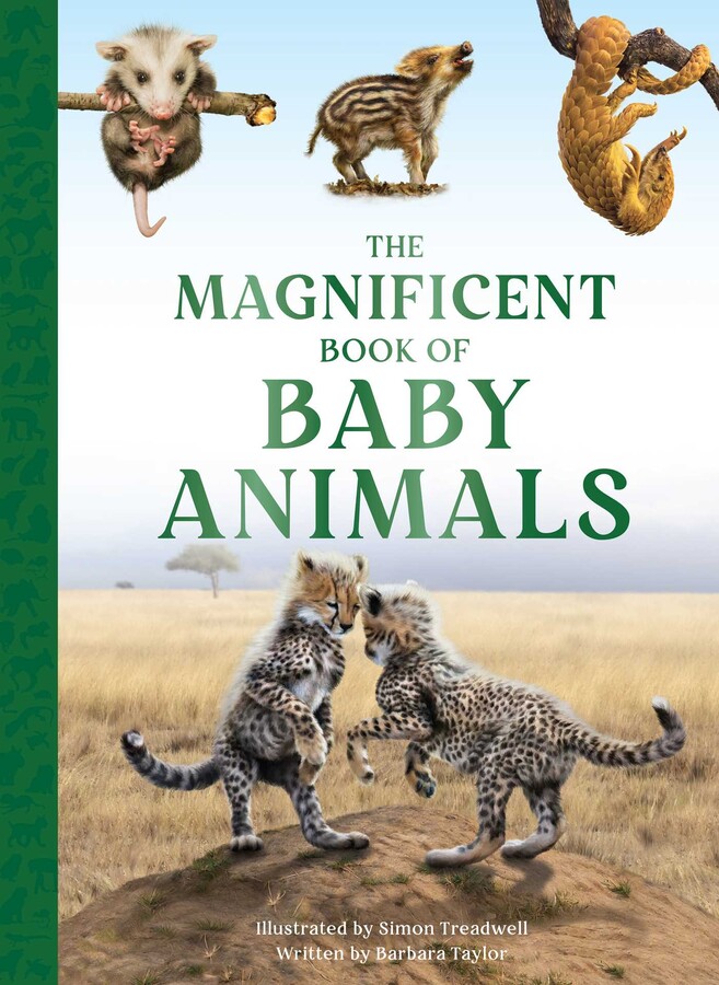 The Magnificent Book of Baby Animals | Book by Barbara Taylor, Simon ...