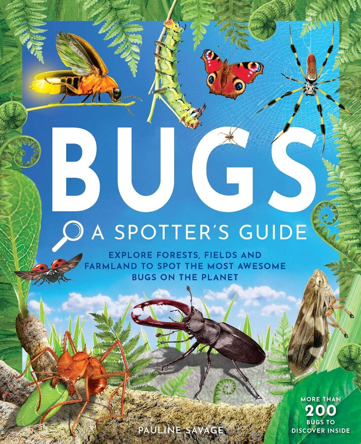 Bugs: A Spotter's Guide | Book by Pauline Savage | Official Publisher ...