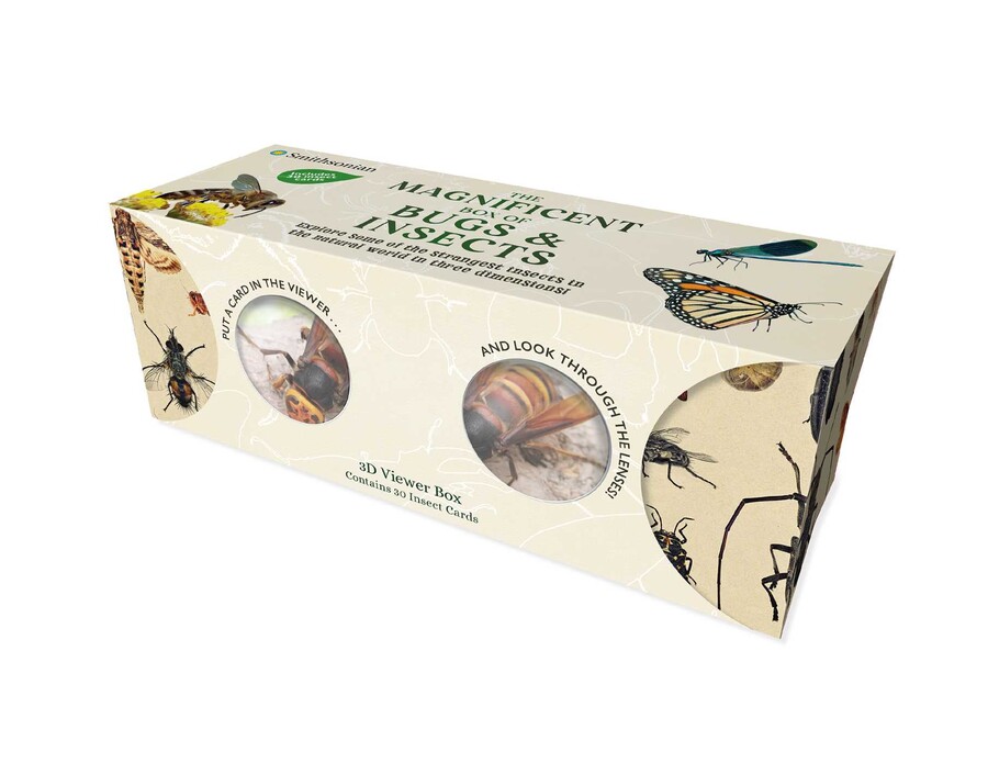 The Magnificent Box of Bugs and Insects - Book Summary & Video ...
