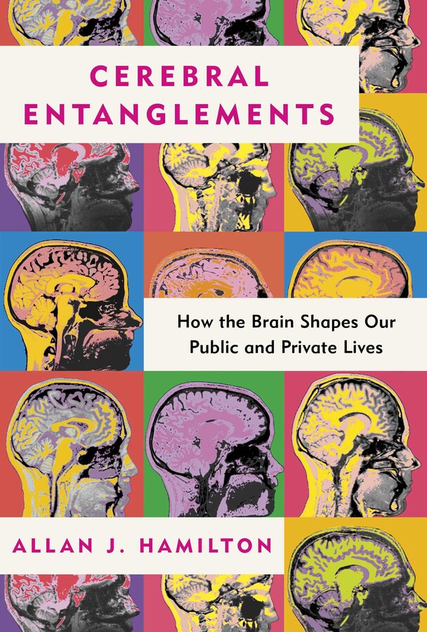 Cerebral Entanglements | Book by Allan J. Hamilton | Official Publisher ...