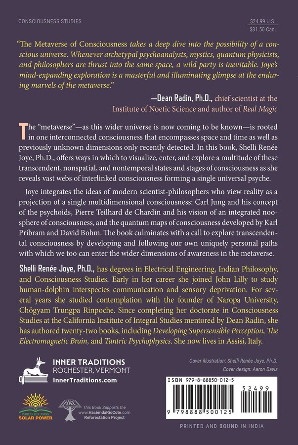 The Metaverse of Consciousness | Book by Shelli Renée Joye, Allan Combs ...