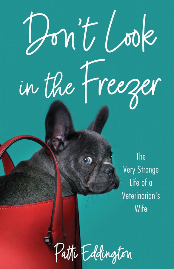 Don't Look in the Freezer | Book by Patti Eddington | Official ...