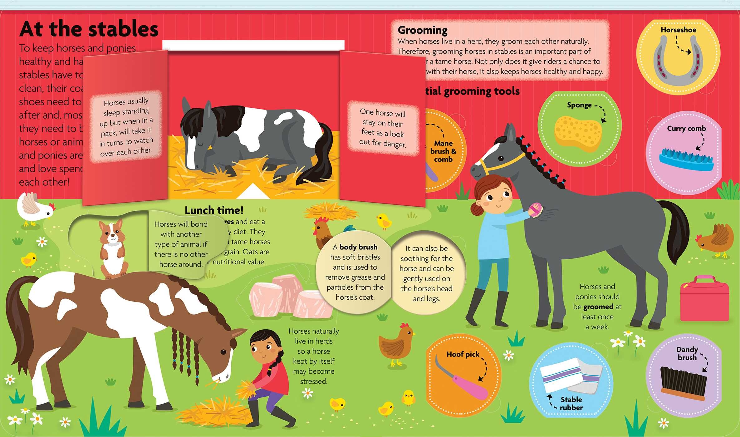 All About Horses & Ponies: Lift-the-Flap Book | Book by Sarah Ward ...