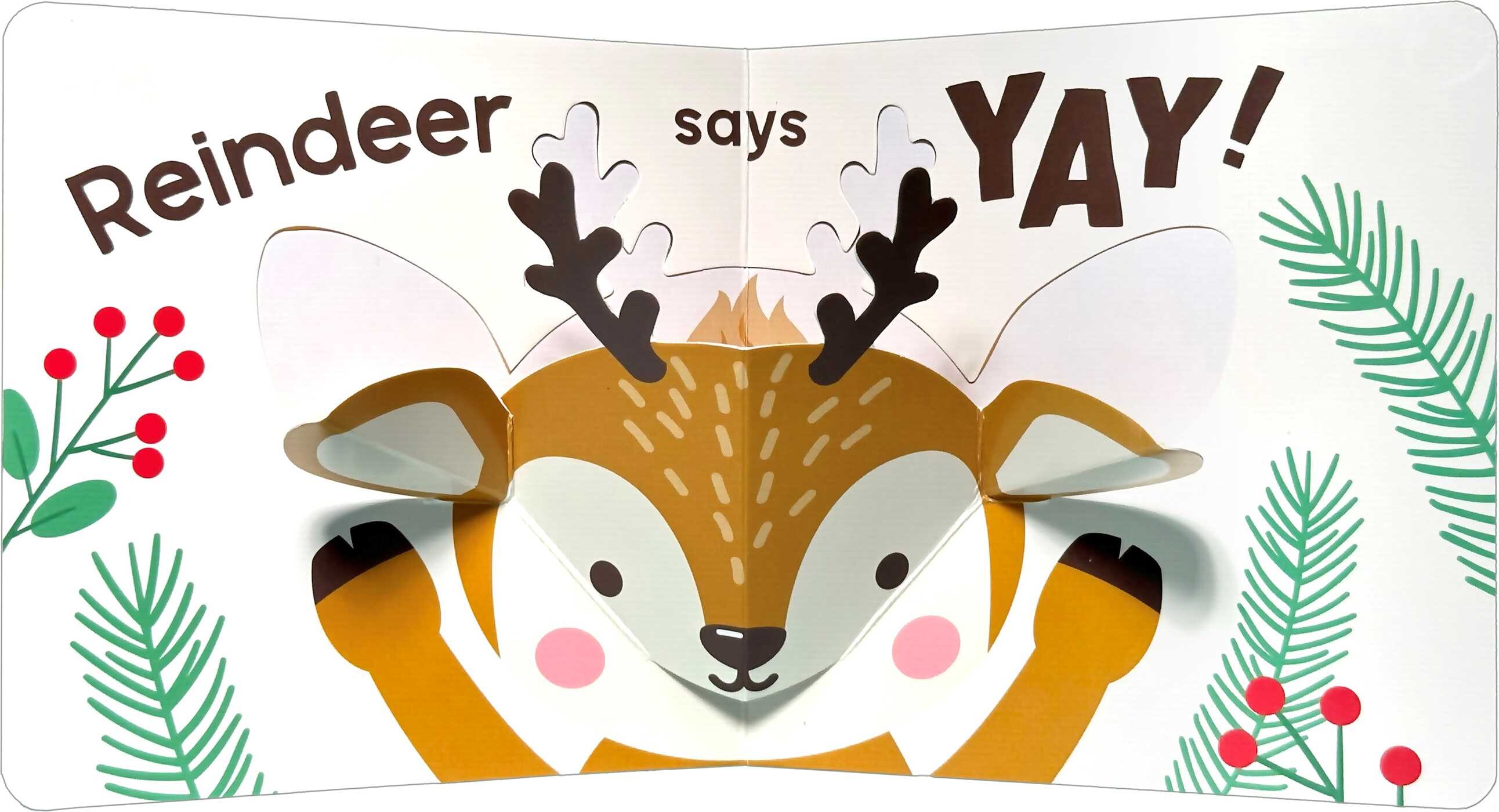 Mini Pops: Santa's Friends! | Book by Lake Press | Official Publisher ...