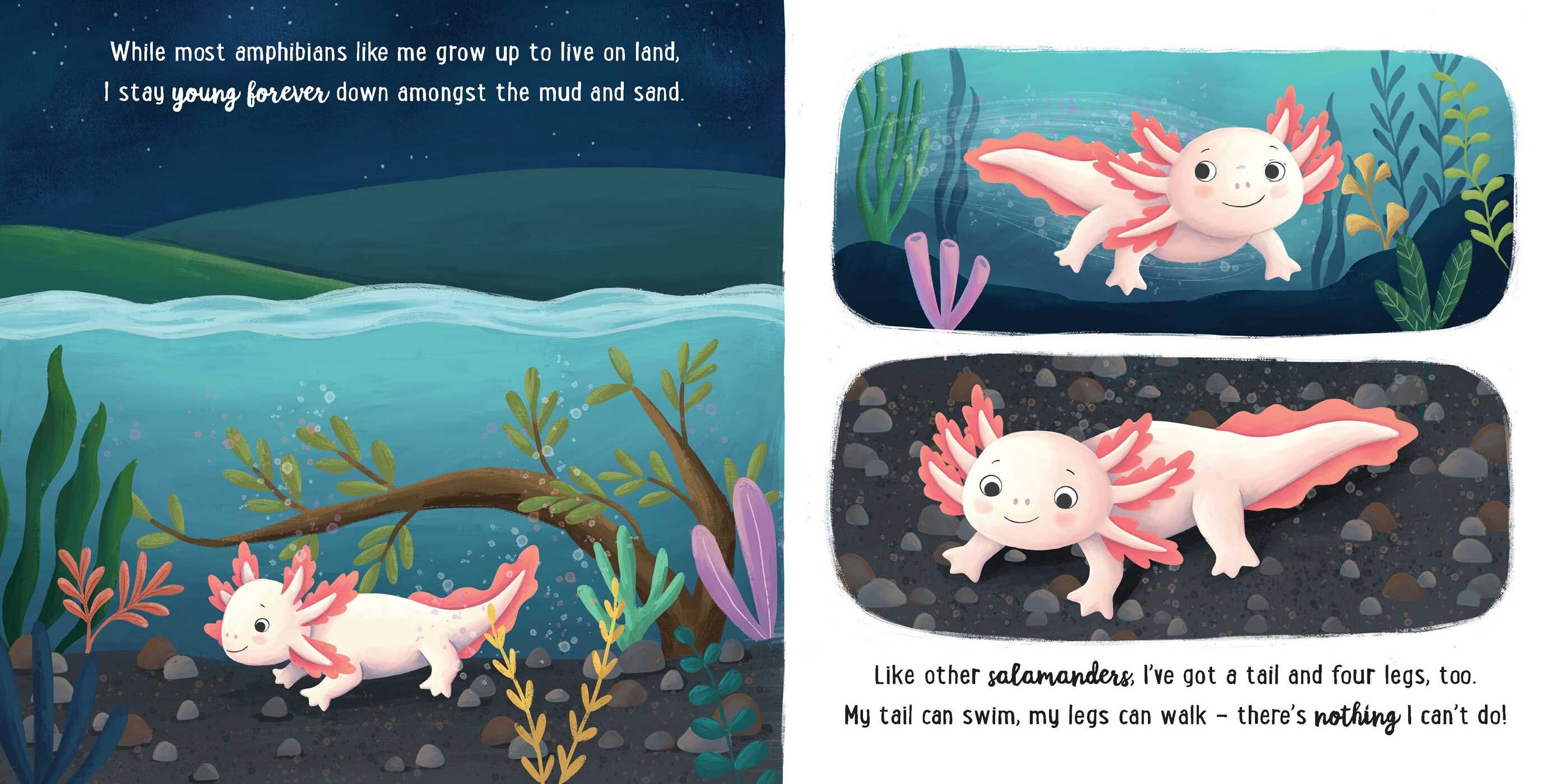 I Love Being an Axolotl: Padded Board Book | Book by Em Bruce, Natalie ...