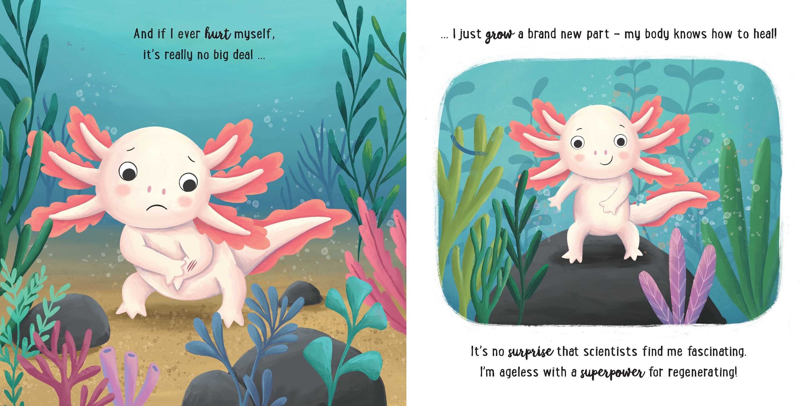 I Love Being an Axolotl: Padded Board Book | Book by Em Bruce, Natalie ...