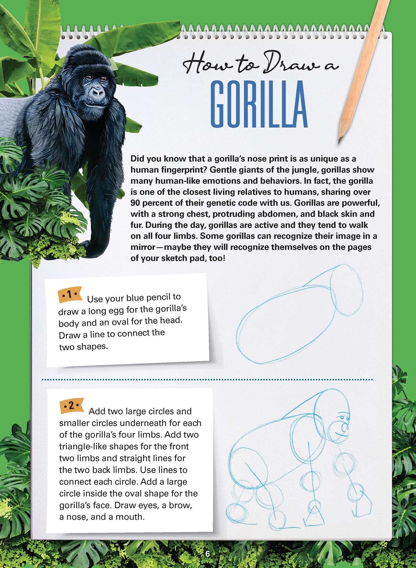 How to Draw Animals - Book Summary & Video | Official Publisher Page ...