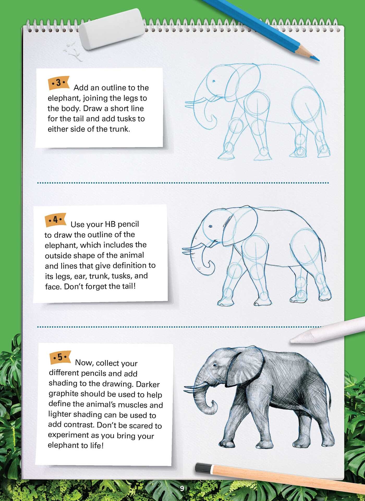 How to Draw Animals - Book Summary & Video | Official Publisher Page ...