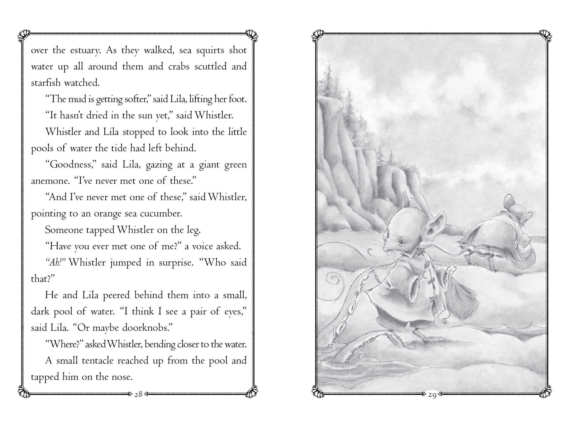 The Octopus | Book by Cynthia Rylant, Preston McDaniels | Official ...