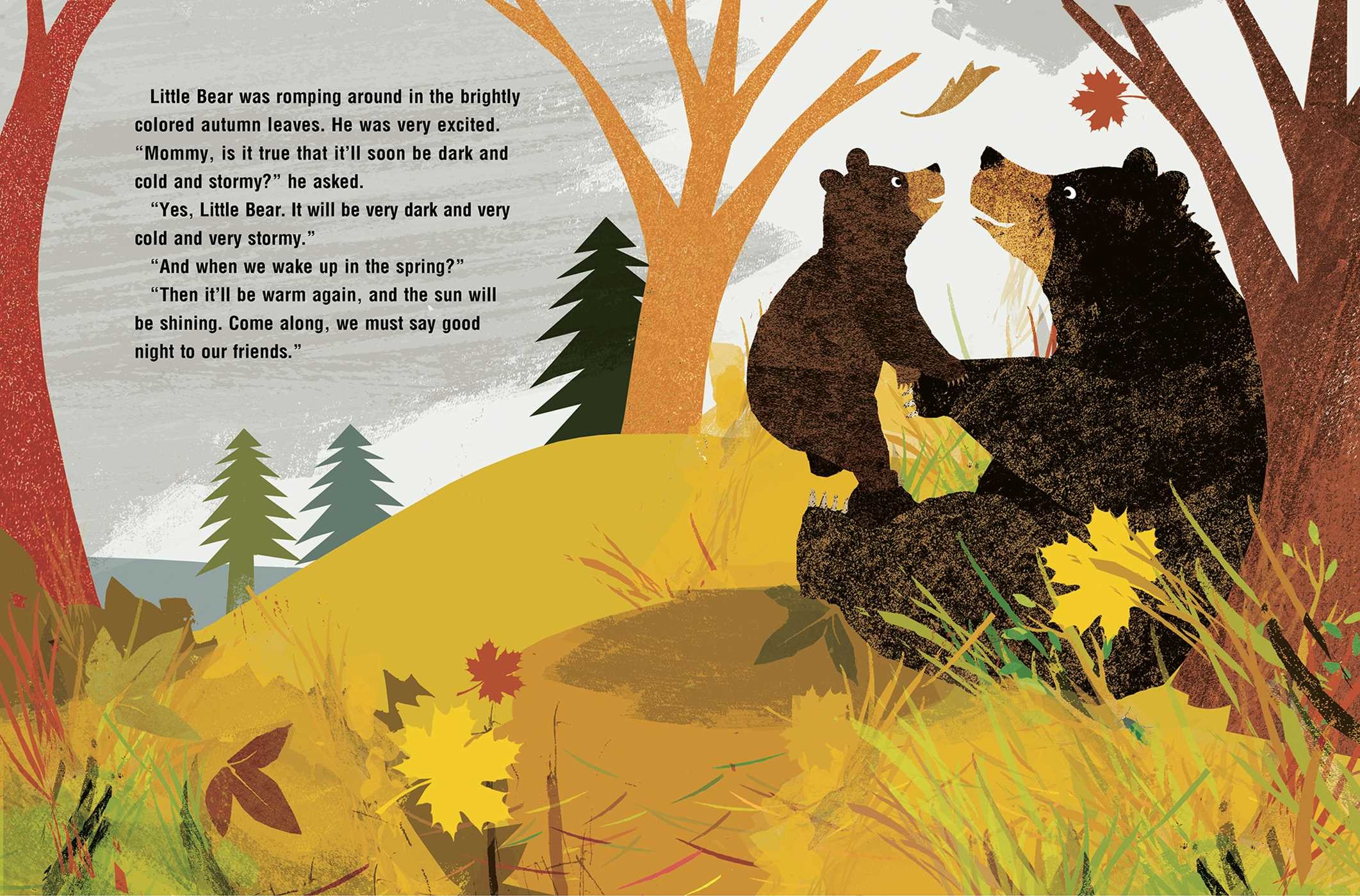Sleep Tight Little Bear | Book by Britta Teckentrup | Official ...
