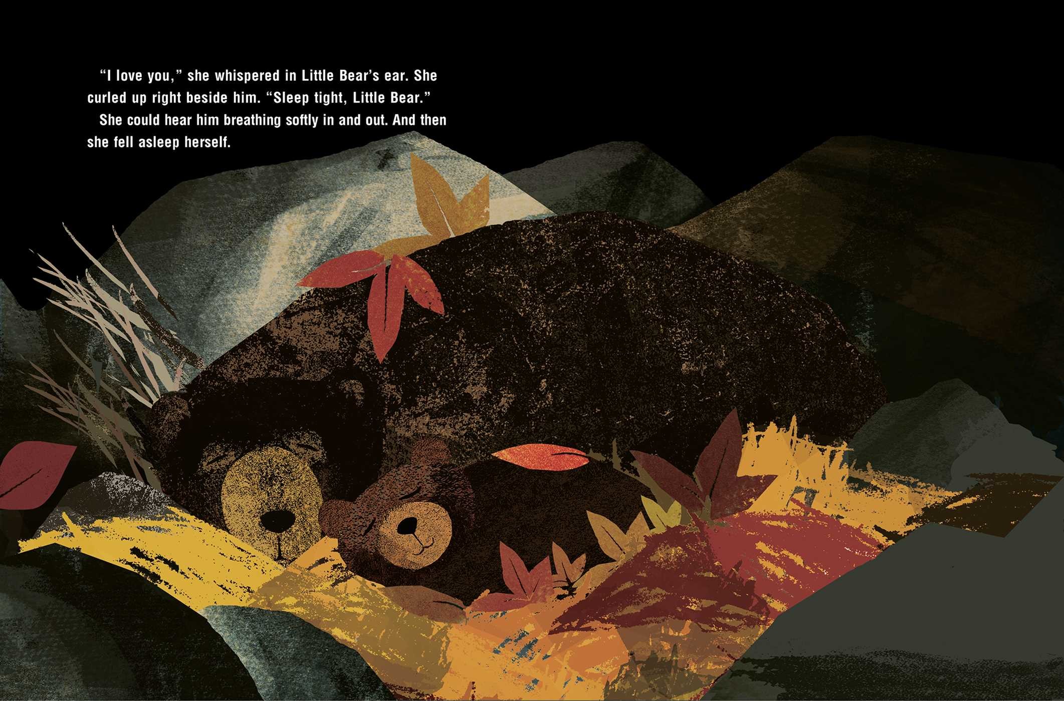 Sleep Tight Little Bear | Book by Britta Teckentrup | Official ...