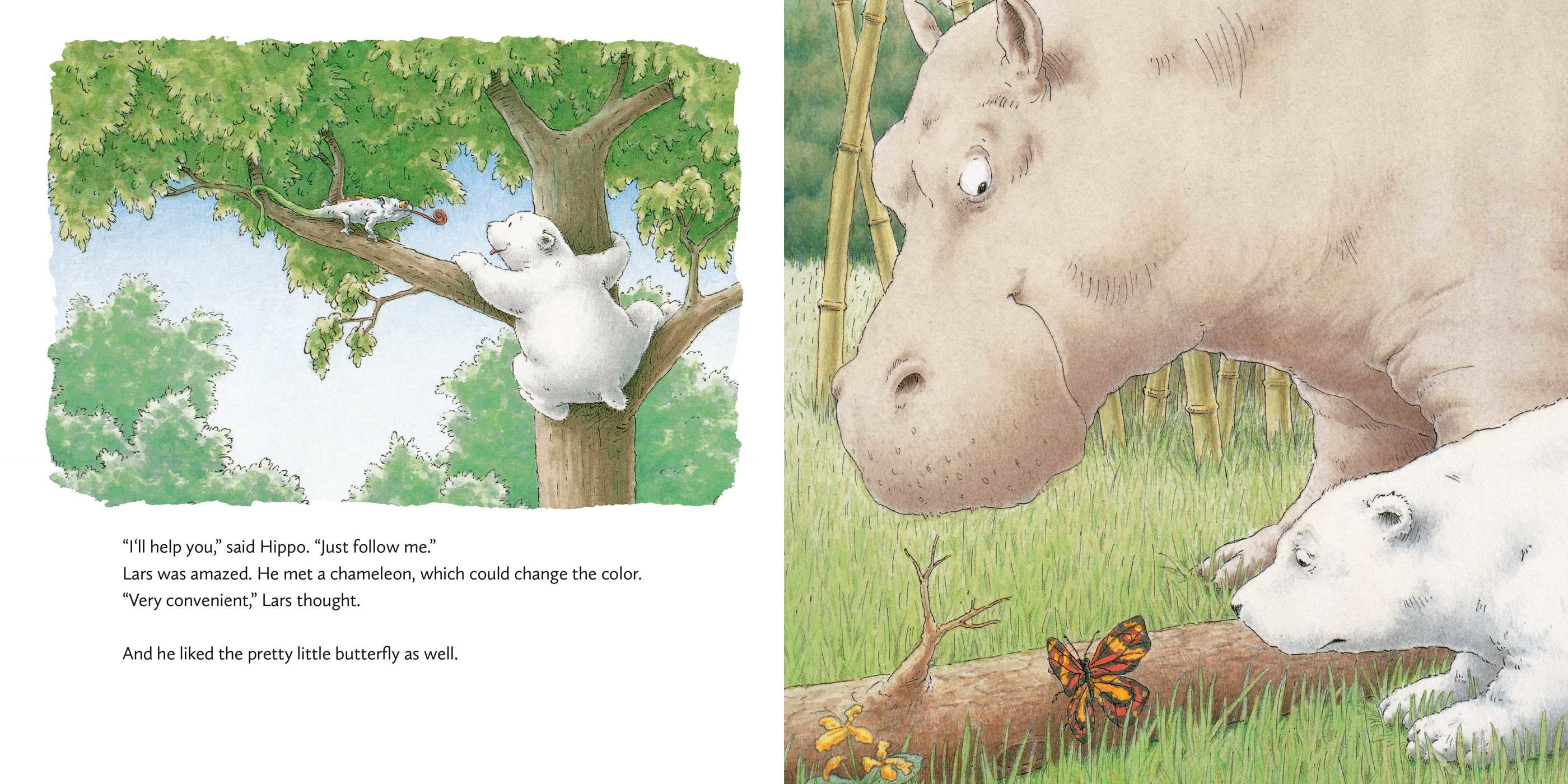 Little Polar Bear Board Book | Book by Hans de Beer | Official ...