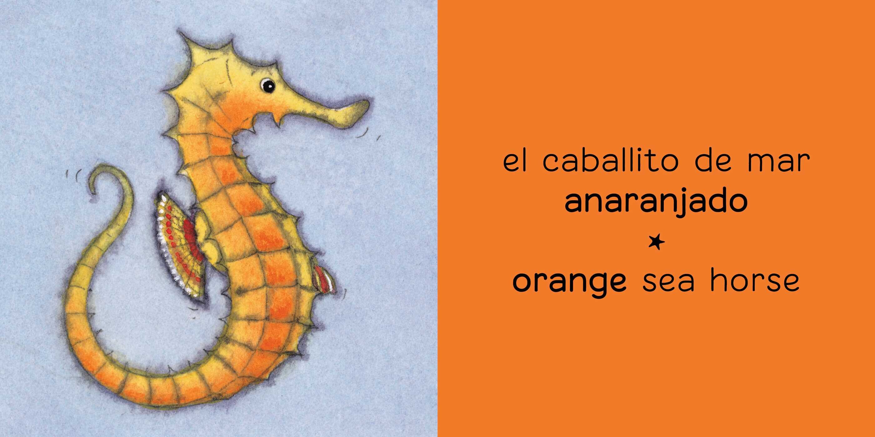 El Pez Arcoíris: Colores / The Rainbow Fish: Colors | Book by Marcus ...