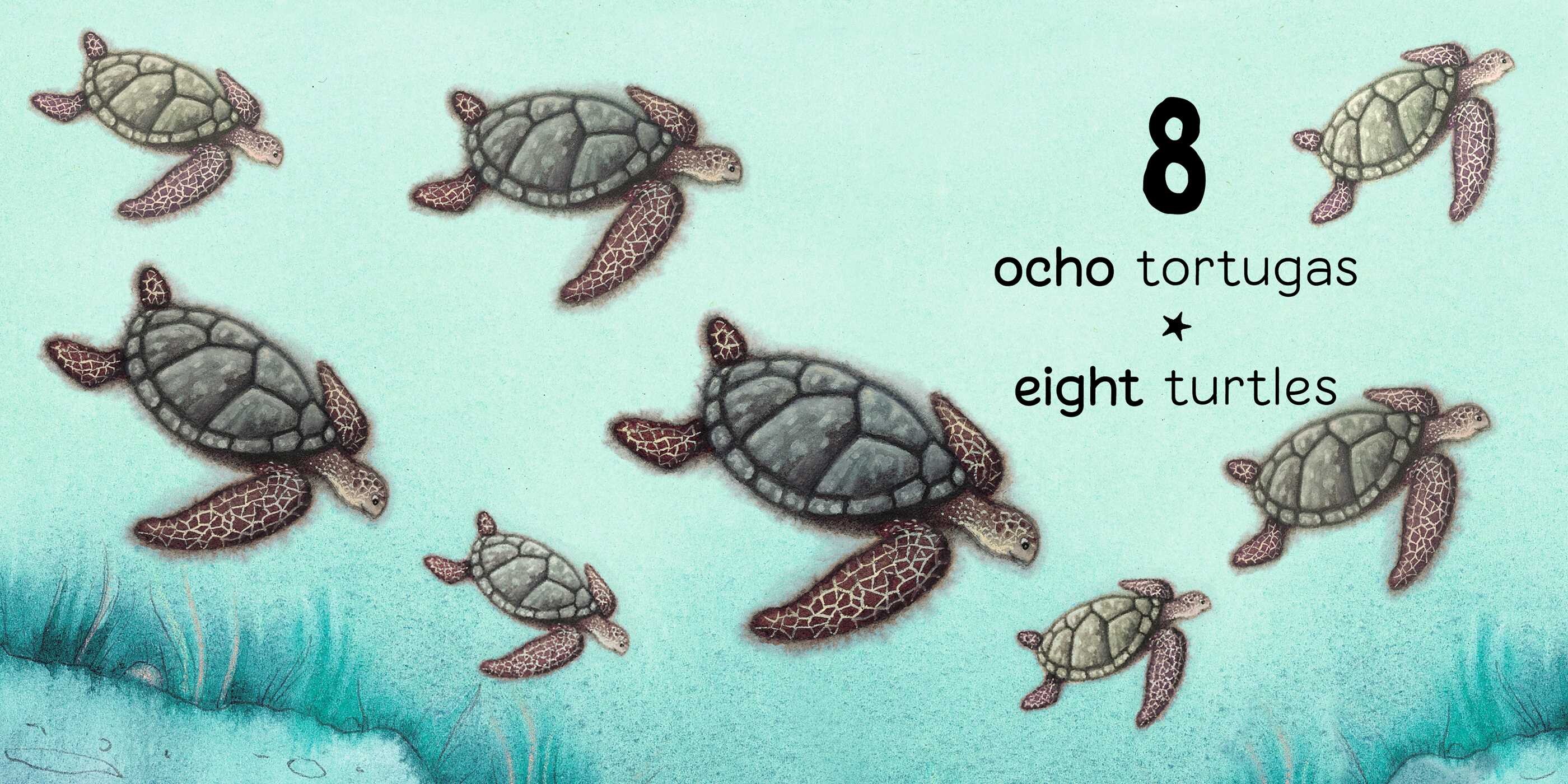 El Pez Arcoíris: A contar / The Rainbow Fish: Counting | Book by Marcus ...