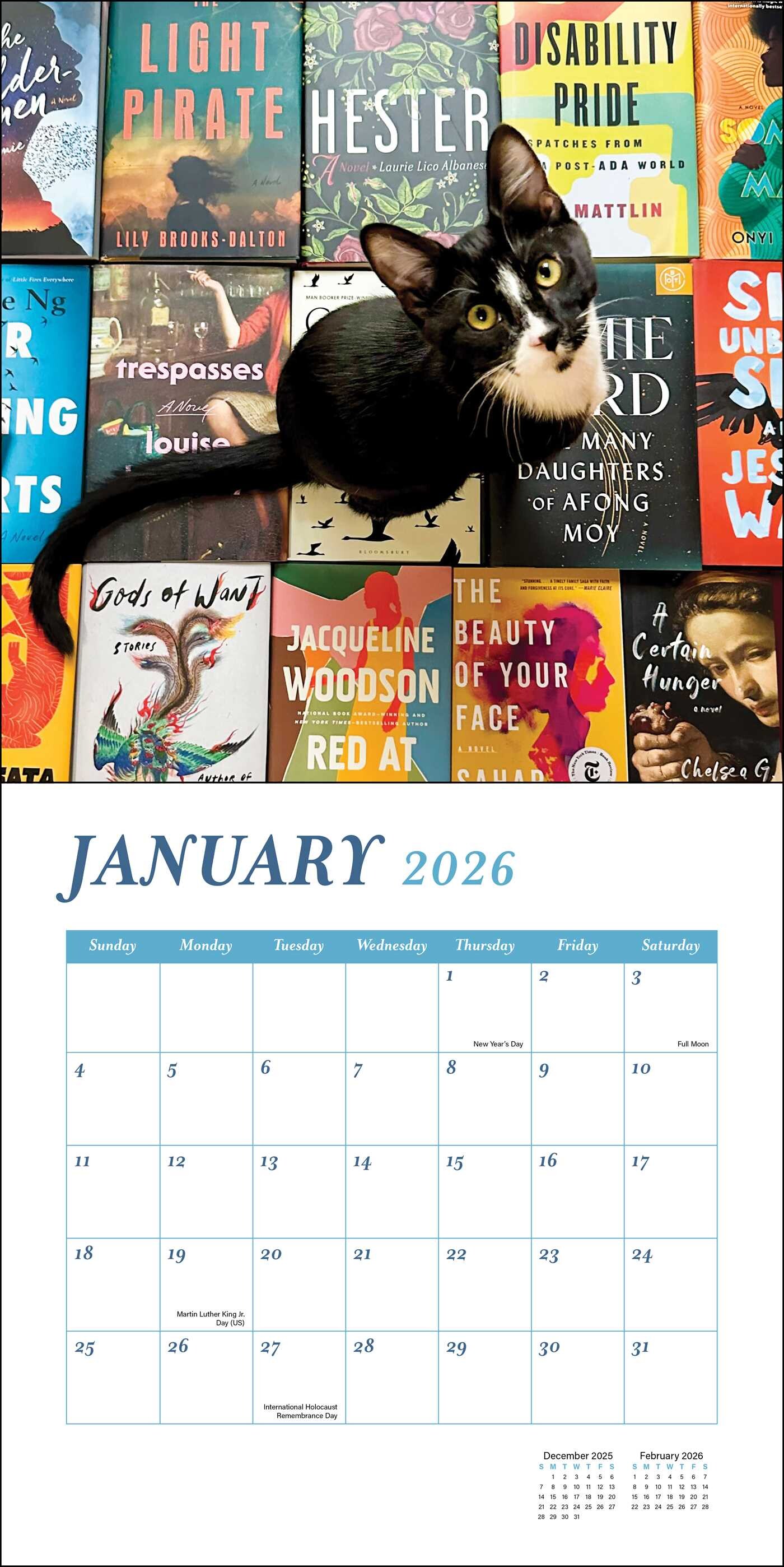 Cats and Books 2026 Wall Calendar - Book Summary & Video | Official ...