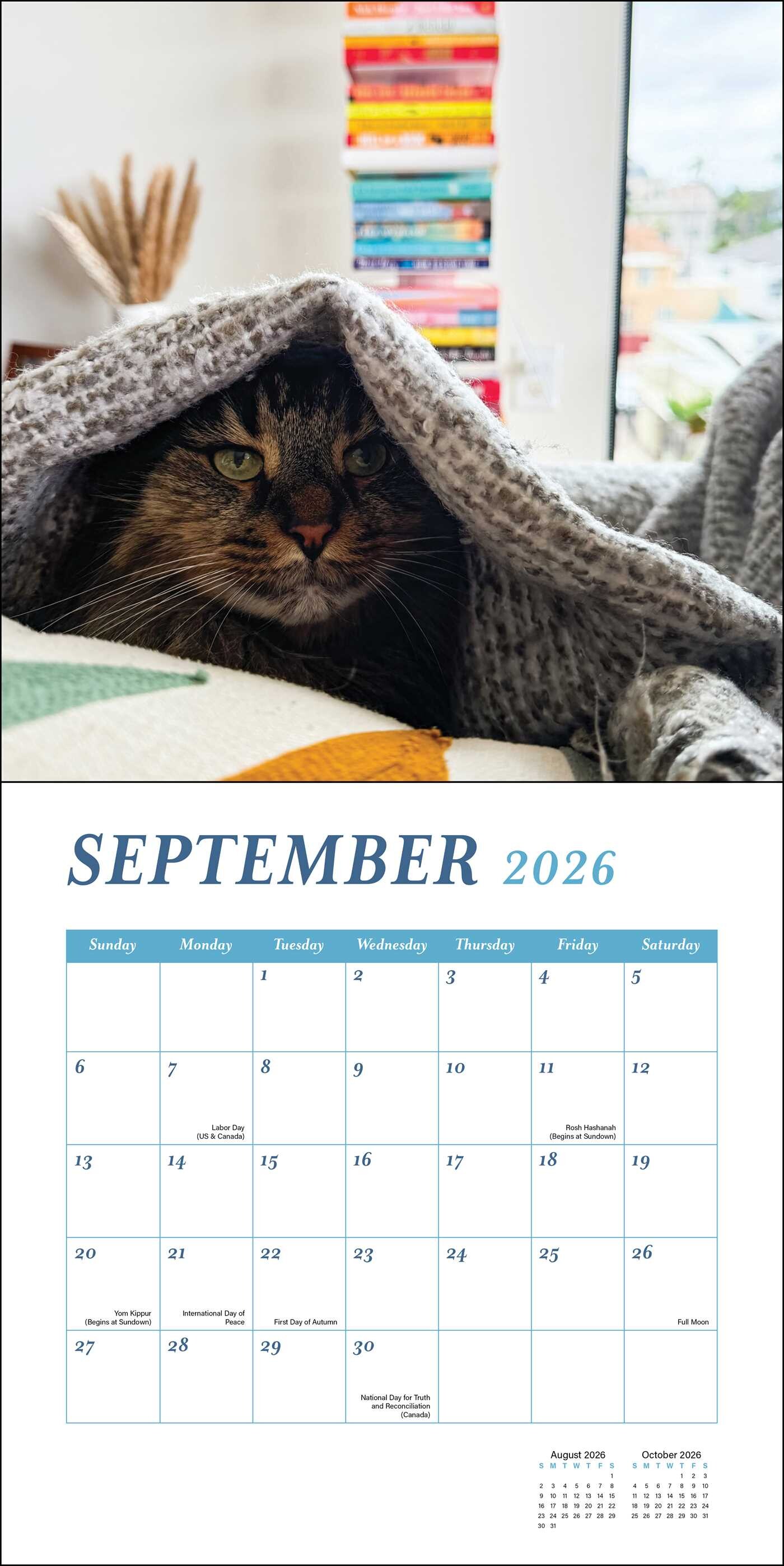 Cats and Books 2026 Wall Calendar - Book Summary & Video | Official ...