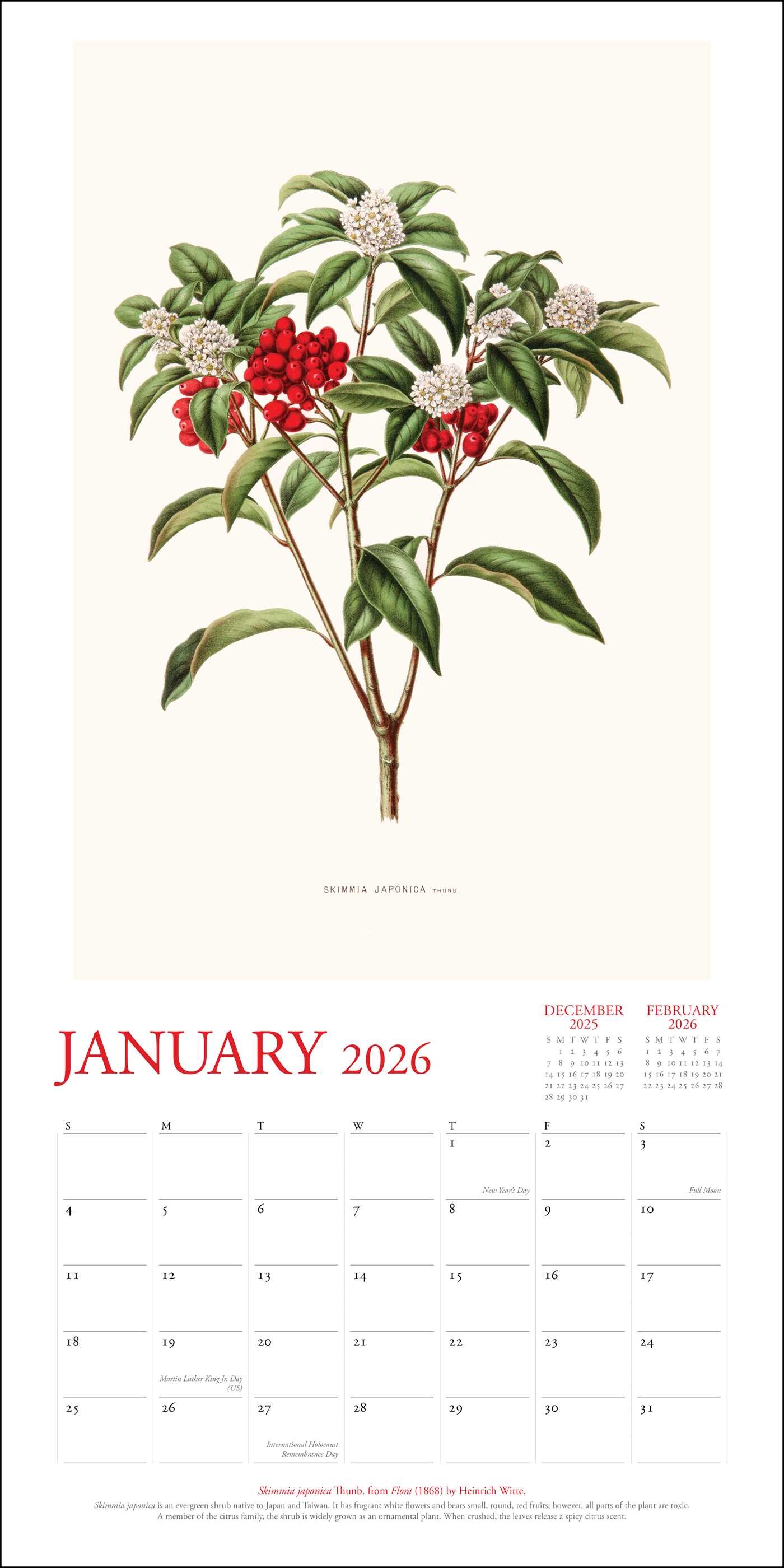 The New York Botanical Garden 2026 Wall Calendar - Book Summary & Video ...