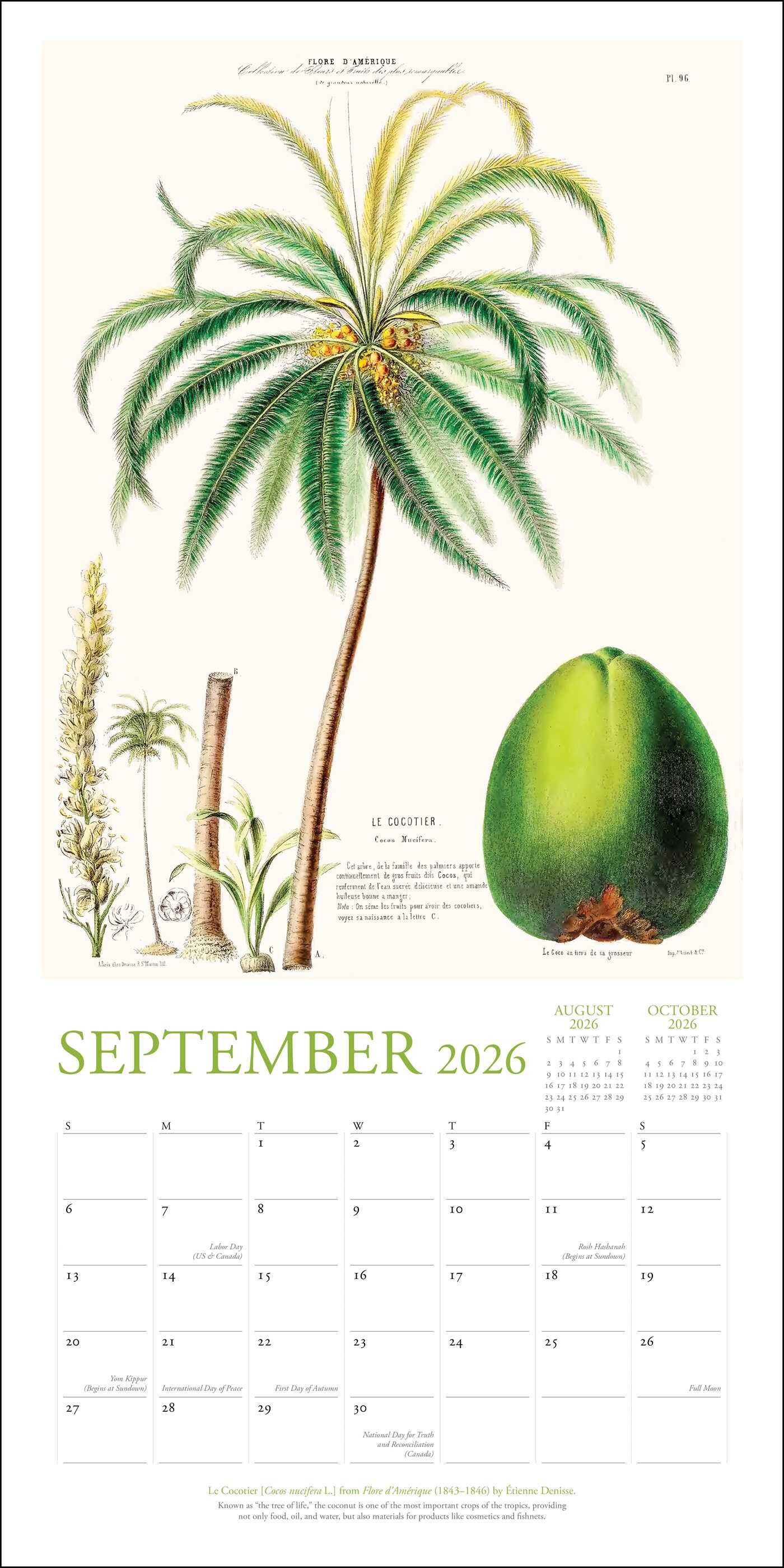 The New York Botanical Garden 2026 Wall Calendar - Book Summary & Video ...