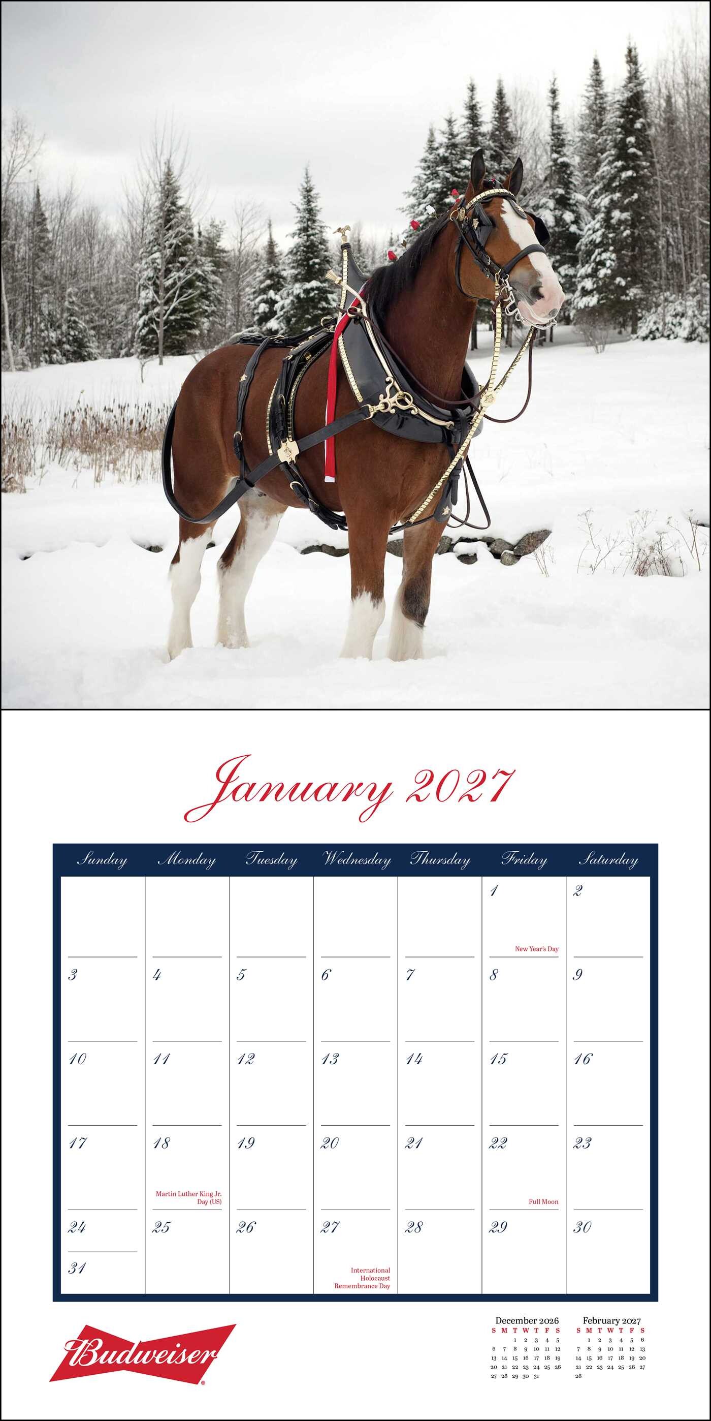 Clydesdales of Budweiser 2027 Wall Calendar - Book Summary & Video ...
