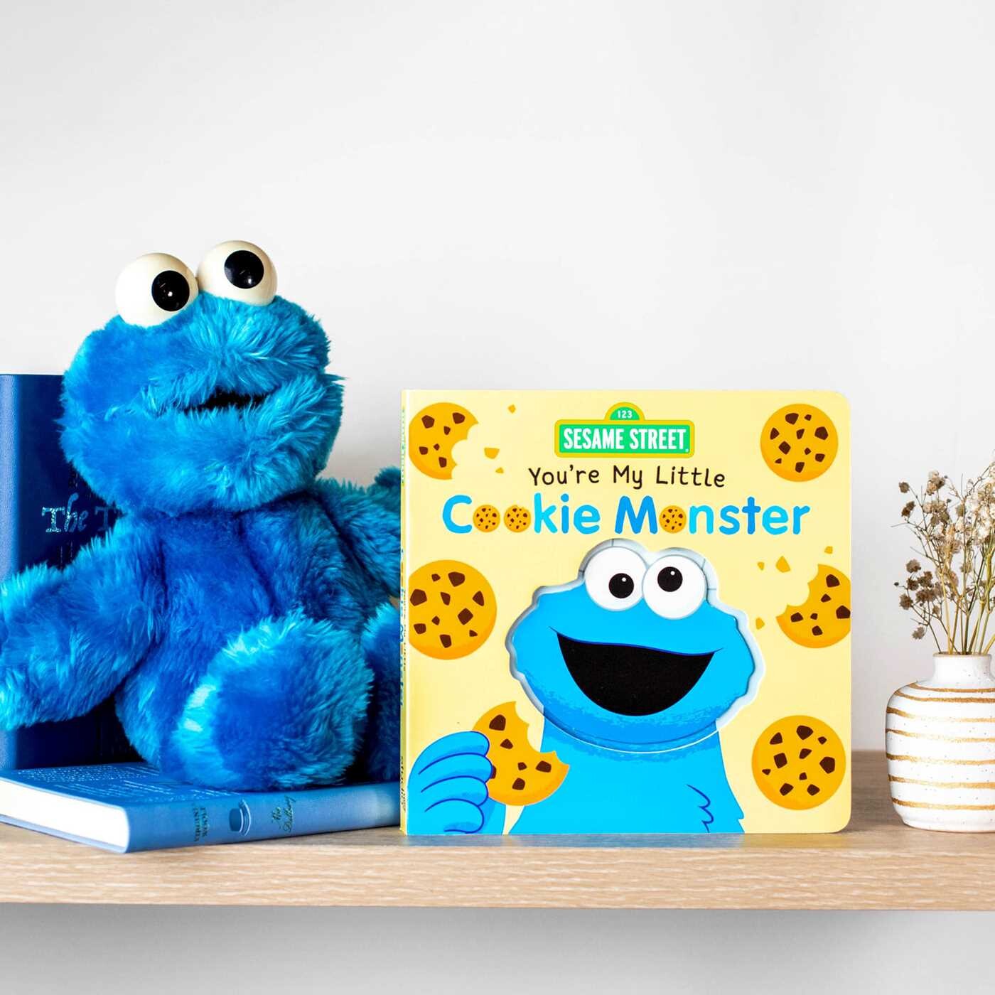 Sesame Street: You're My Little Cookie Monster | Book by Grace ...