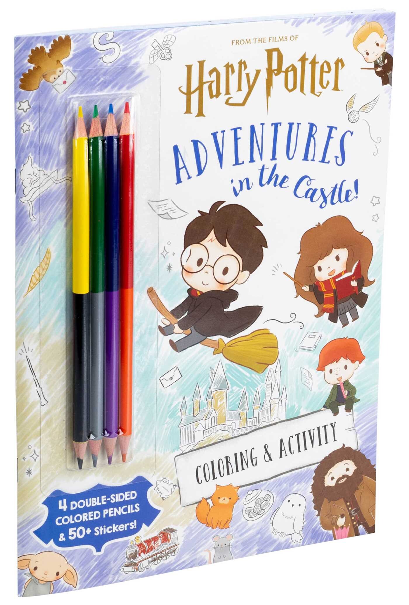 Wizarding World: Adventures in the Castle | Book by Delaney Foerster ...