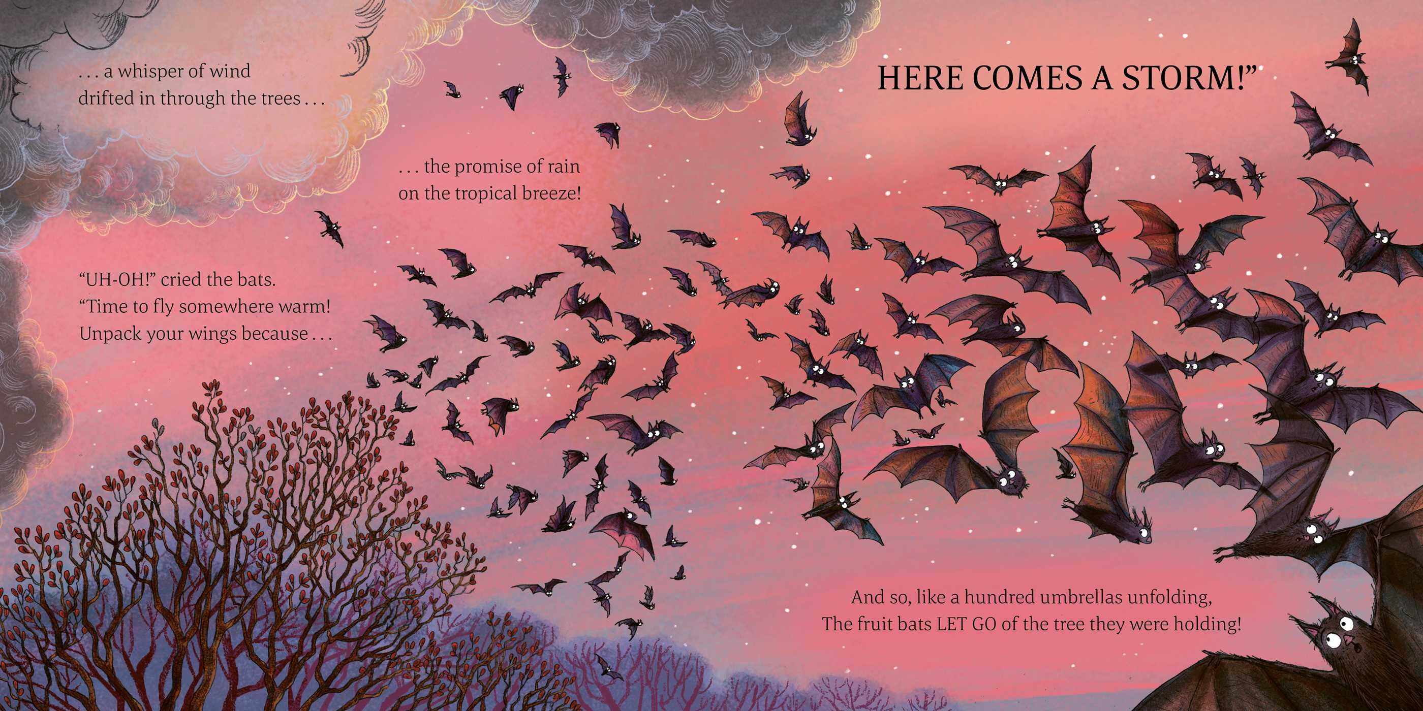 Basil Dreams Big | Book by Lu Fraser, Sarah Warburton | Official ...