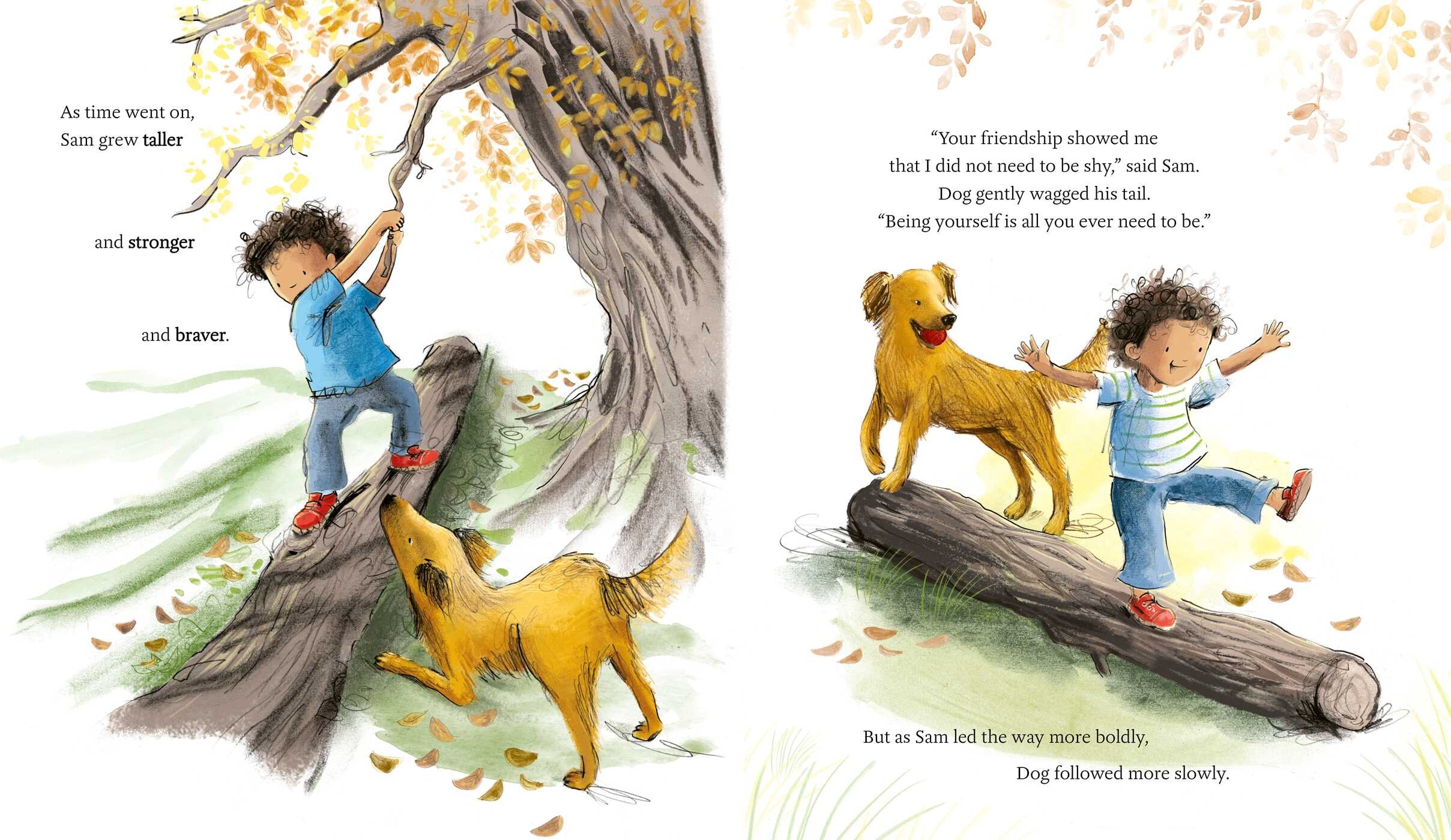 Over the Rainbow Bridge | Book by Noel Fitzpatrick | Official Publisher ...