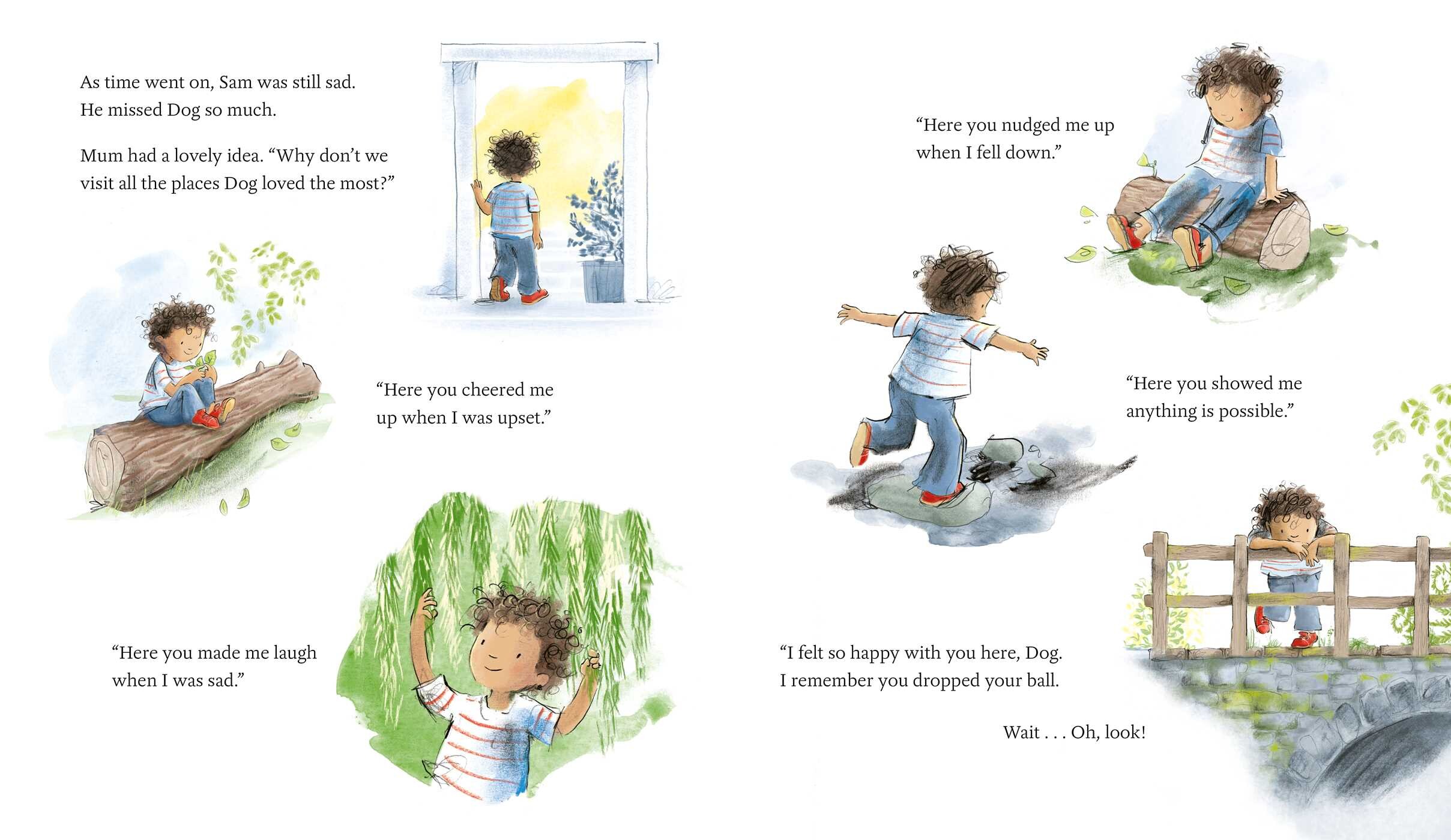 Over the Rainbow Bridge | Book by Noel Fitzpatrick | Official Publisher ...