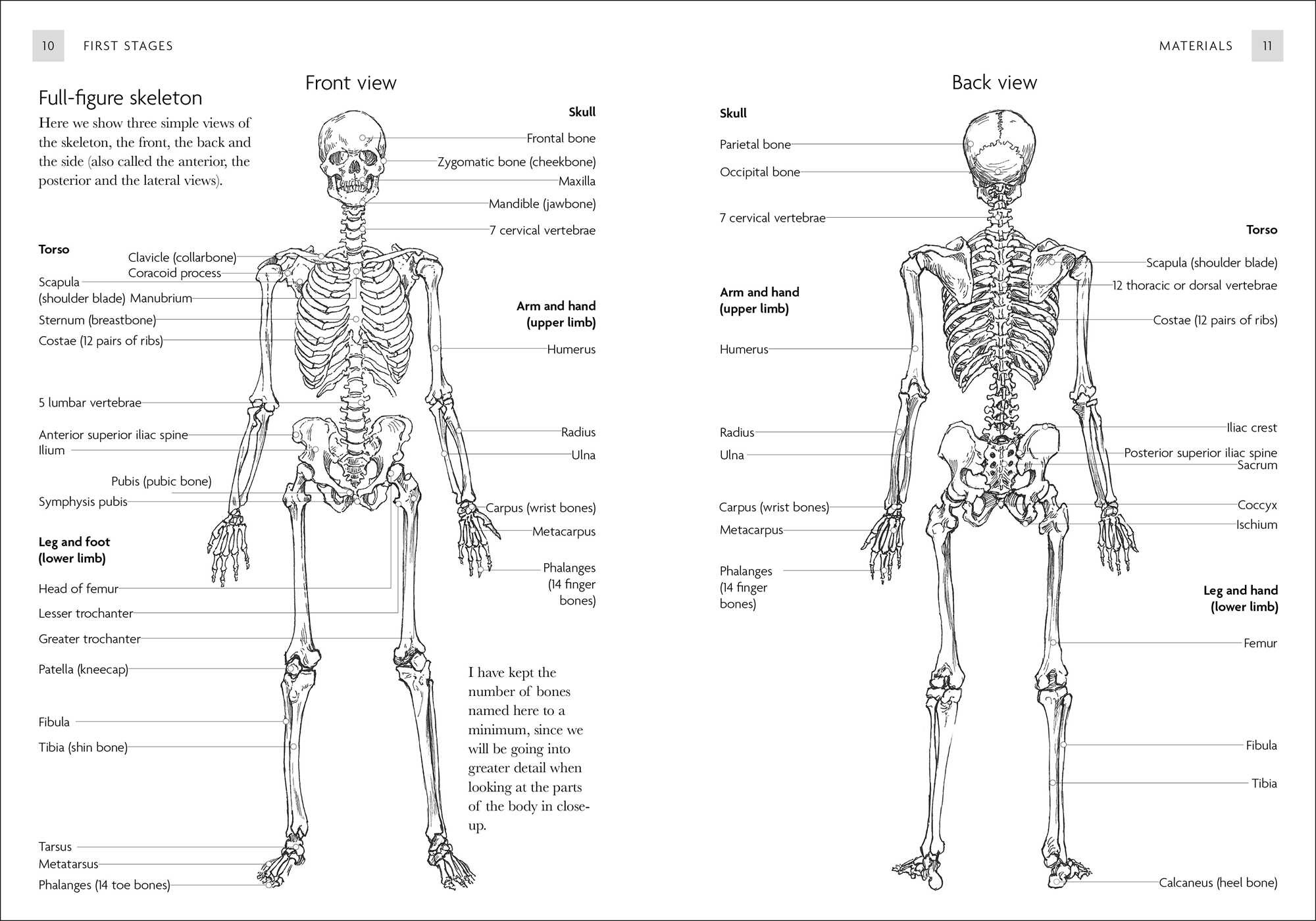 The Complete Anatomy for Artists Kit | Book by Barrington Barber ...
