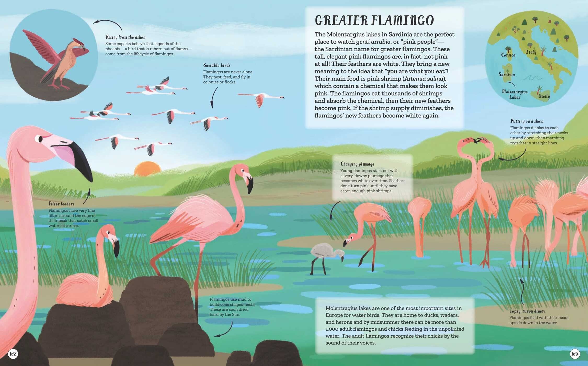 Children's Encyclopedia of Nature | Book by Michael Leach, Meriel Lland ...